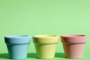 Plant Pot Volume Calculator (Find Your Perfect Size)